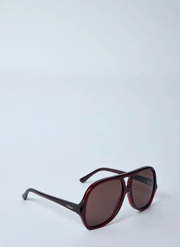 Chloé Ch0289s Sunglasses