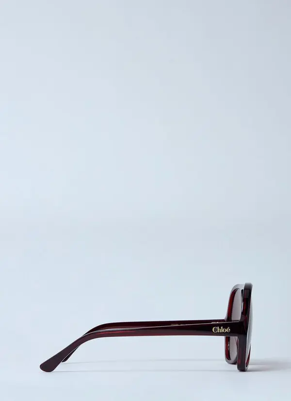 Chloé Ch0289s Sunglasses
