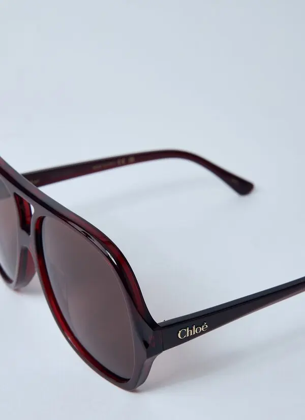 Chloé Ch0289s Sunglasses