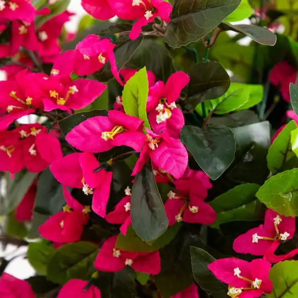 NEARLY NATURAL Uv Resistant Artificial Spiral Bougainvillea Tree 6