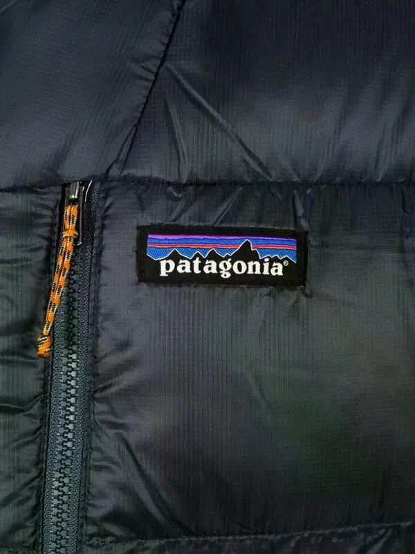 Patagonia Fitz Roy Quilted Hooded Jacket