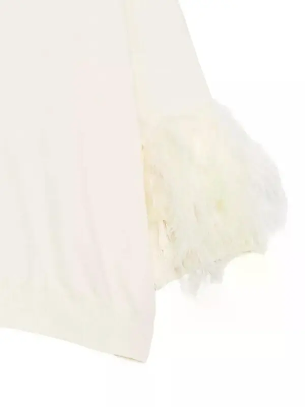 Alberta Ferretti Feather-trim Roll-neck Sweater
