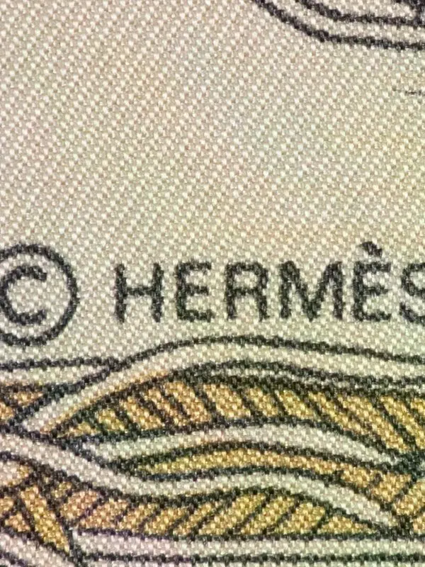 Hermès Les Plaisirs Du Froid Silk Scarf