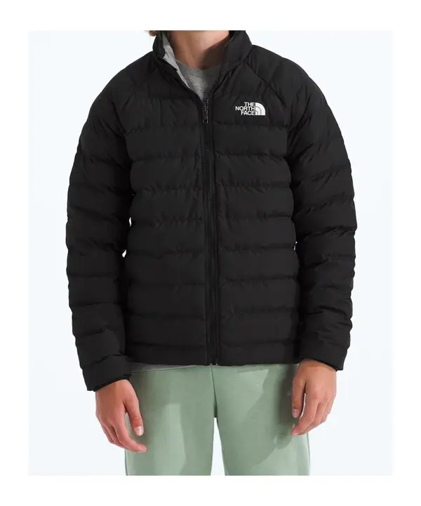 The North Face Logo-print Hooded Jacket