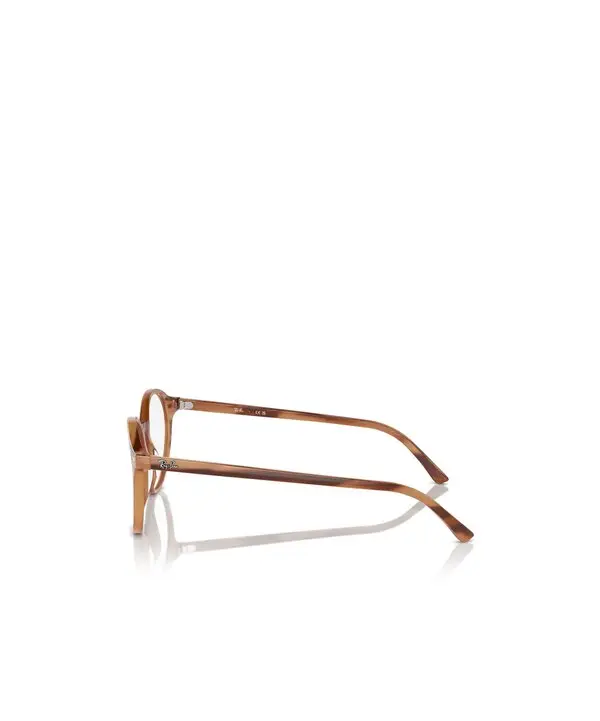 Ray-ban Bernard Glasses