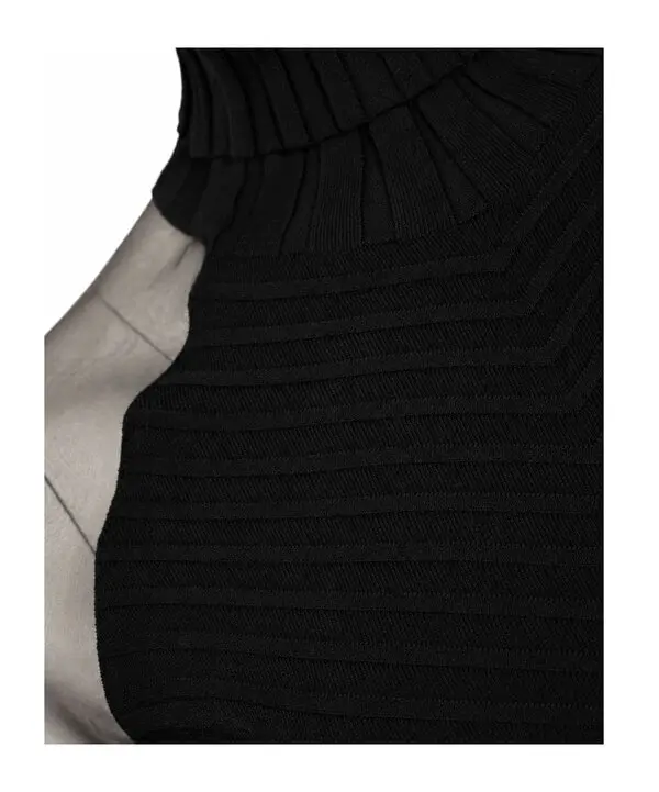 D.exterior Sheer Sleeve Turtleneck Sweater