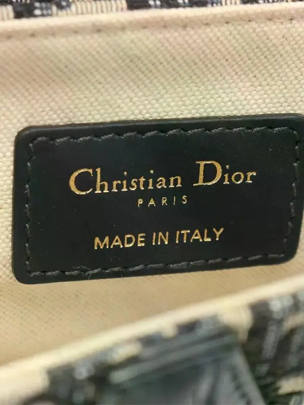 Dior 2010-2026 Mini Oblique Canvas Saddle Bag Satchel