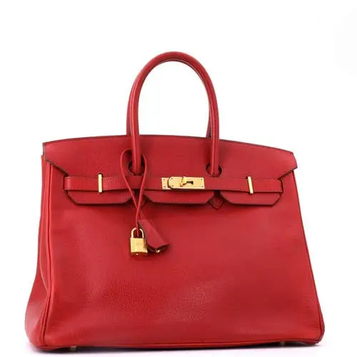 Hermès Birkin Handbag Vache Liegee With Gold Hardware 35