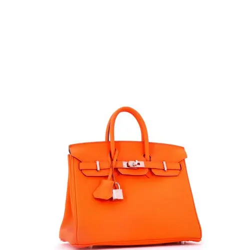 Hermès Birkin Handbag Togo With Palladium Hardware 25
