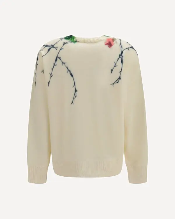 Blumarine Cahmere-blend Weater With Roe Print