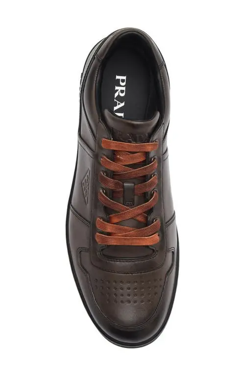 Prada Downtown Hammer Leather Sneaker - Fumo