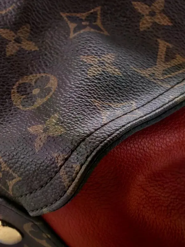 LOUIS VUITTON Gaia Handbag Monogram Canvas And Exotics Hobo Bag