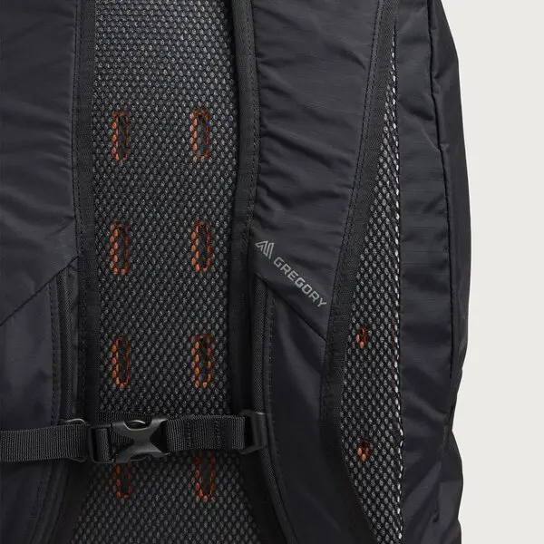 GREGORY Aerolite Backpack 25l