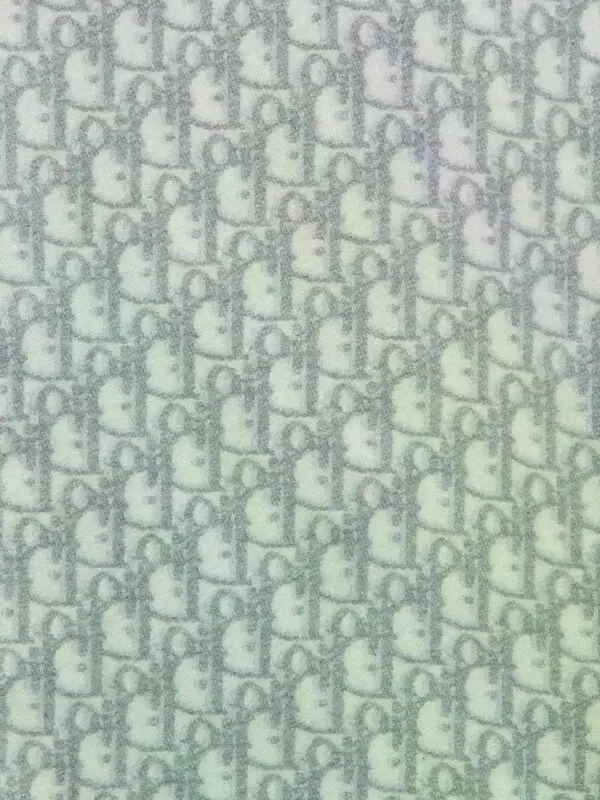 Dior Oblique Jacquard Fringed Scarf
