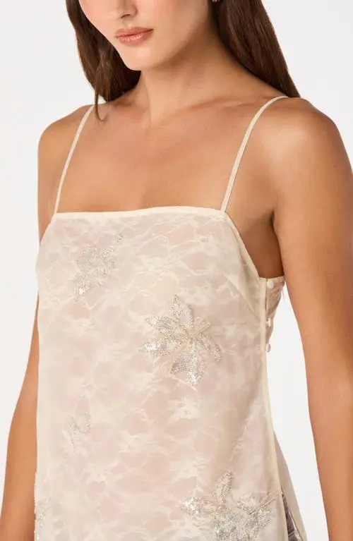 Astr The Label Helena Lace Tunic Top