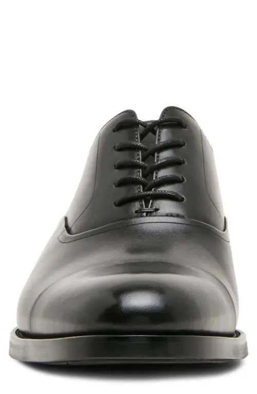 Steve Madden Hallifax Leather Cap Toe Oxford - Black Leather