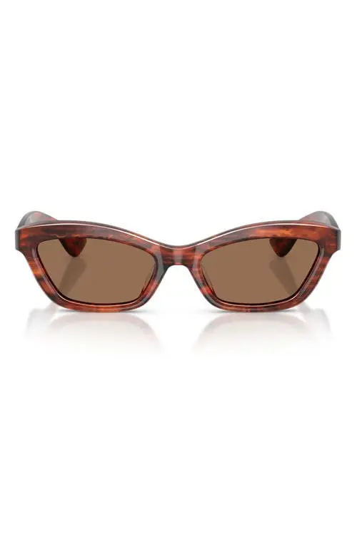 Oliver Spencer X Khaite 55mm Cat Eye Sunglasses - Brown