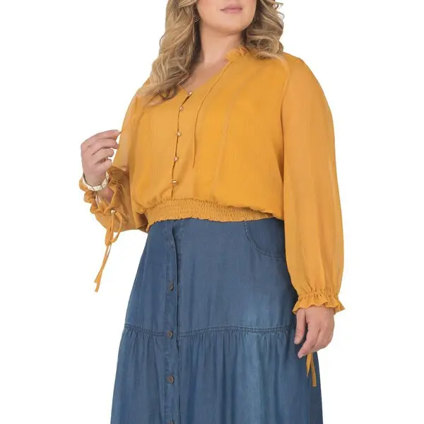 STANDARDS & PRACTICES Standard & Practices Tie Neck Chiffon Top - Ginger