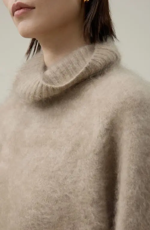 Lilysilk Brushed Cashmere Turtleneck Sweater