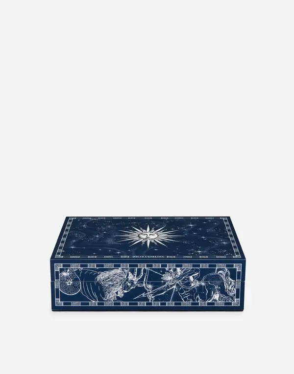 Dolce & Gabbana Large Decorated Plexiglass Box - Multicolor