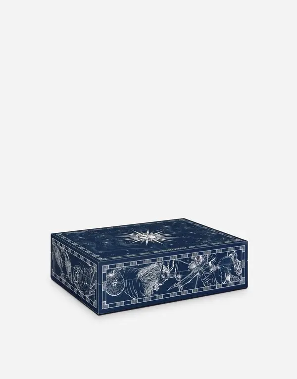 Dolce & Gabbana Large Decorated Plexiglass Box