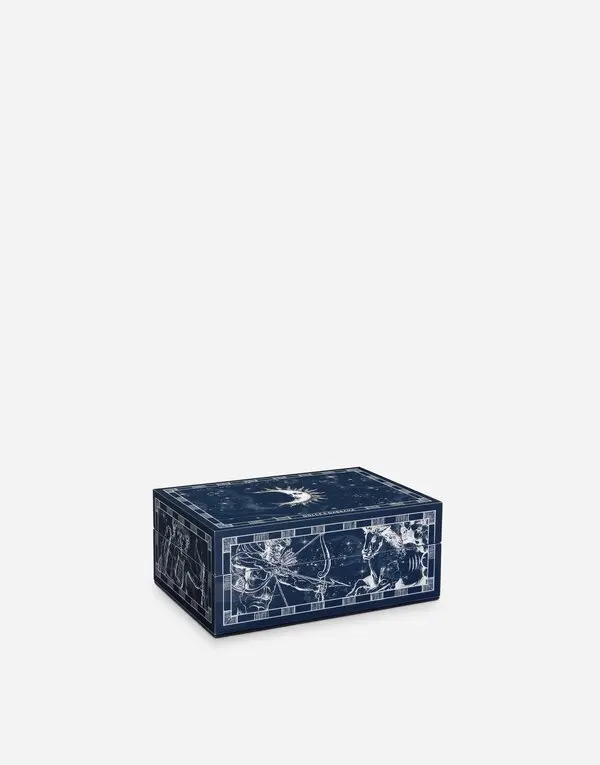 Dolce & Gabbana Small Decorated Plexiglass Box