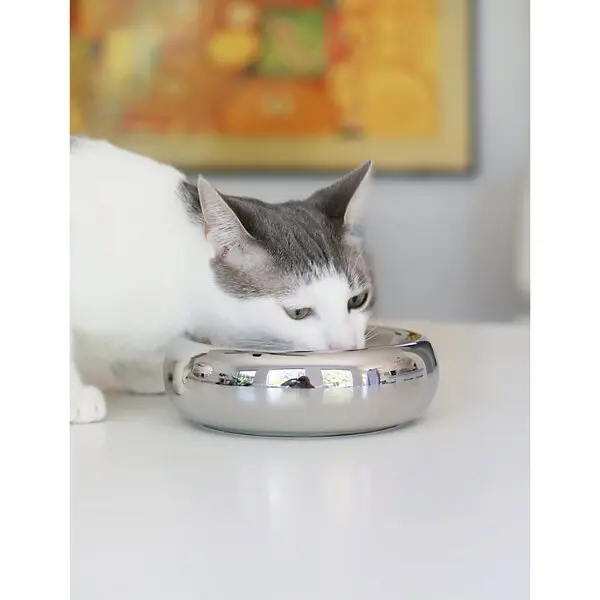 CATENARY HOME Halo Chrome Ceramic Pet Bowl