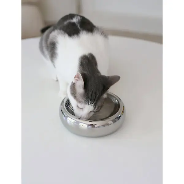 CATENARY HOME Halo Chrome Ceramic Pet Bowl