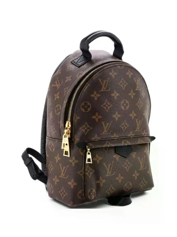 LOUIS VUITTON Palm Springs Monogram Canvas Pm Backpack