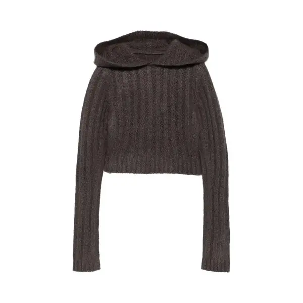 Rick Owens Long-sleeve Cropped Hooded Top 'drkdust - Tan