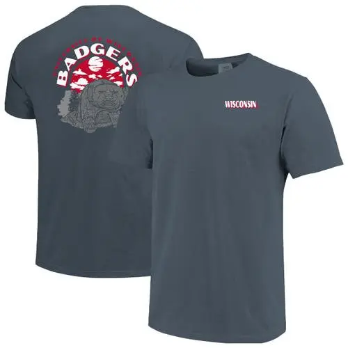 IMAGE ONE Wisconsin Badgers Comfort Colors Team Statue T-shirt