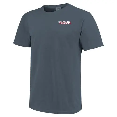 IMAGE ONE Wisconsin Badgers Comfort Colors Team Statue T-shirt