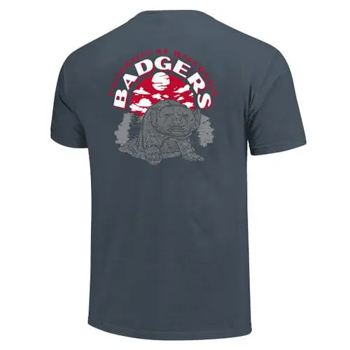 IMAGE ONE Wisconsin Badgers Comfort Colors Team Statue T-shirt