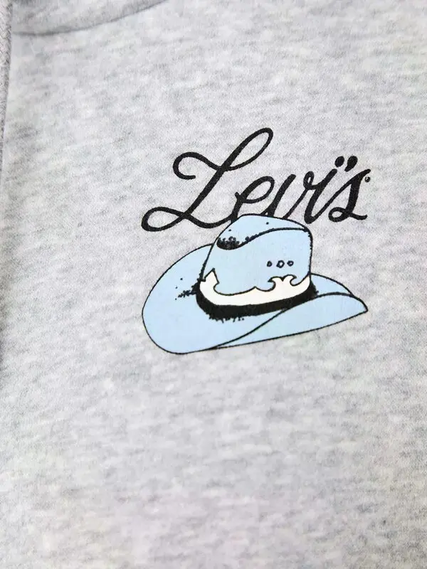 LEVI'S Graphic Everyday Drawstring Hoodie