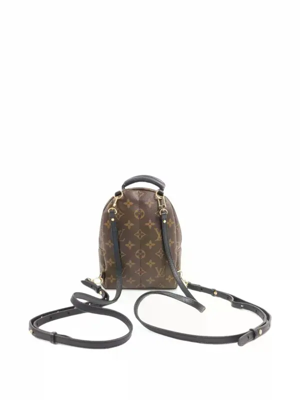 LOUIS VUITTON Mini Palm Springs Backpack