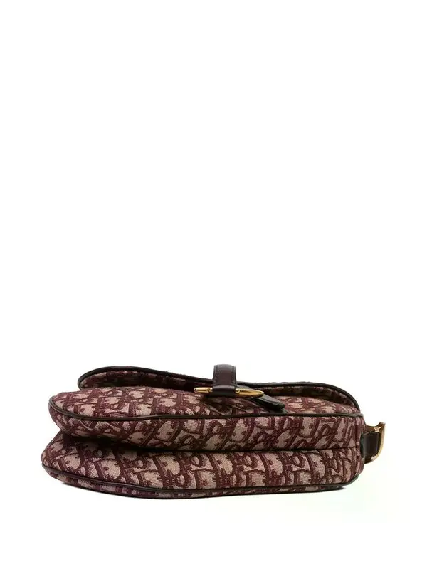 Dior 2018 Oblique Canvas Saddle Bag Shoulder Bag