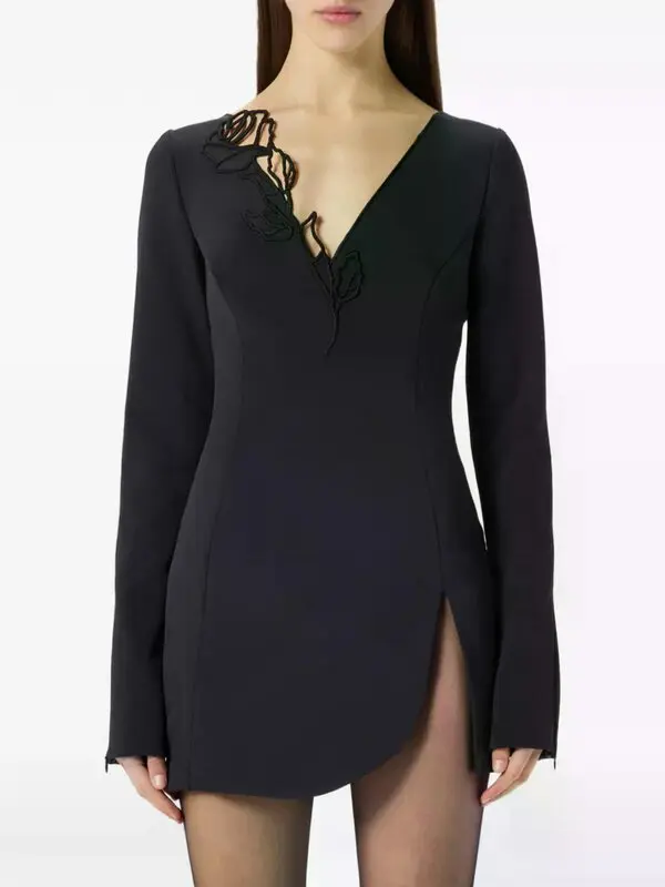 Blumarine Long-sleeved Embroidered Mini Dress
