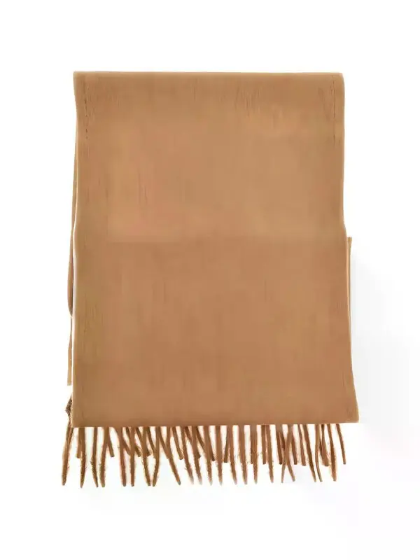 Max Mara Fringe-trimmed Scarf