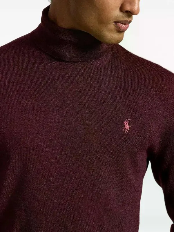 Polo Ralph Lauren Washable Wool Turtleneck Sweater