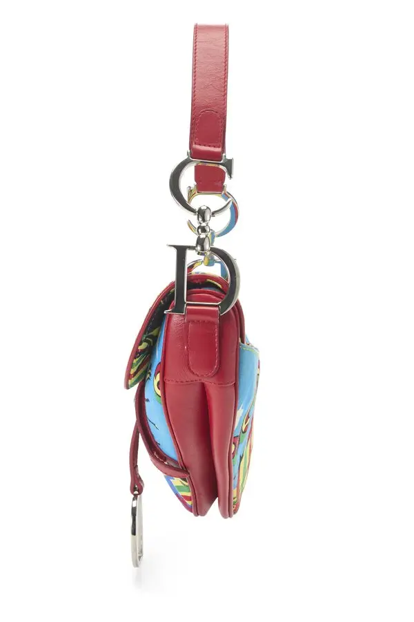 Dior Multicolor Rasta Mania Saddle Bag