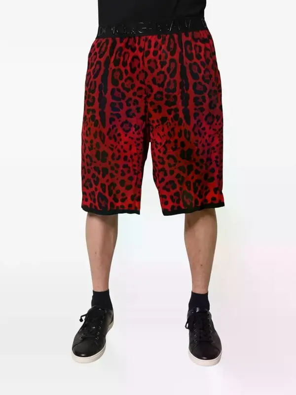 Dolce & Gabbana Leopard-print Logo-waistband Track Shorts - Red