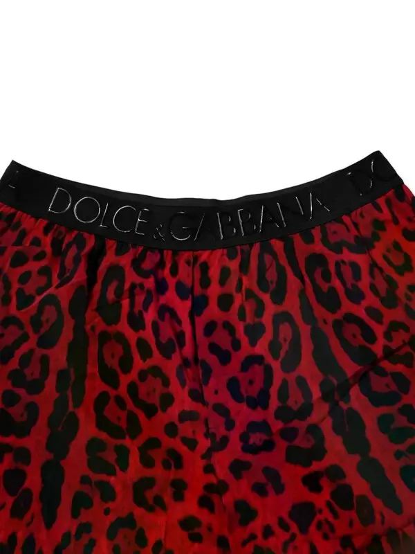 Dolce & Gabbana Leopard-print Logo-waistband Track Shorts