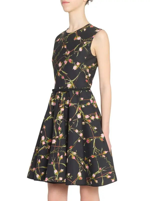 Giambattista Valli Floral Cotton Poplin Minidress