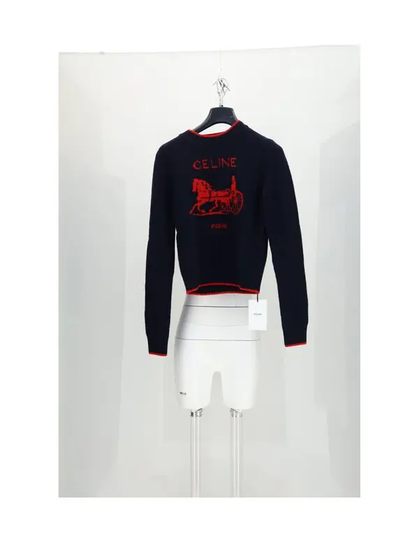 Celine Crewneck Sweater - Multicolor
