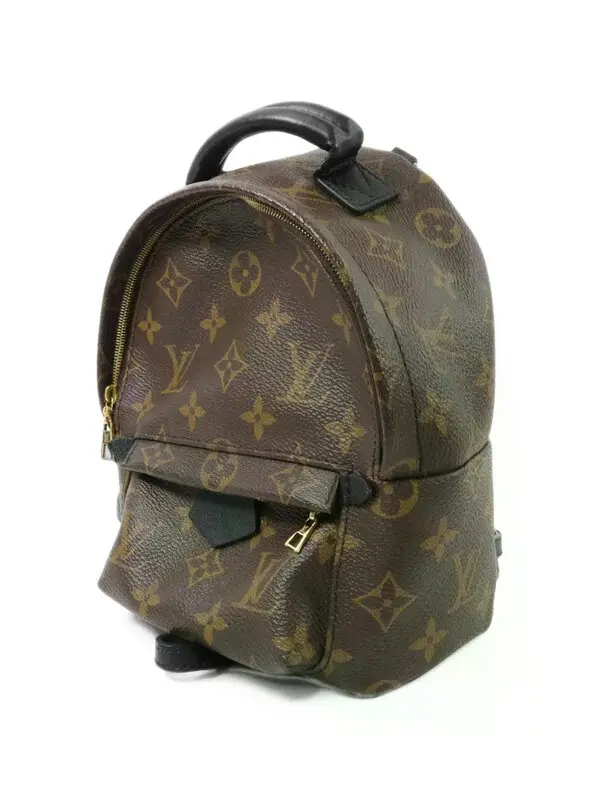 LOUIS VUITTON Palm Springs Monogram Backpack - Brown