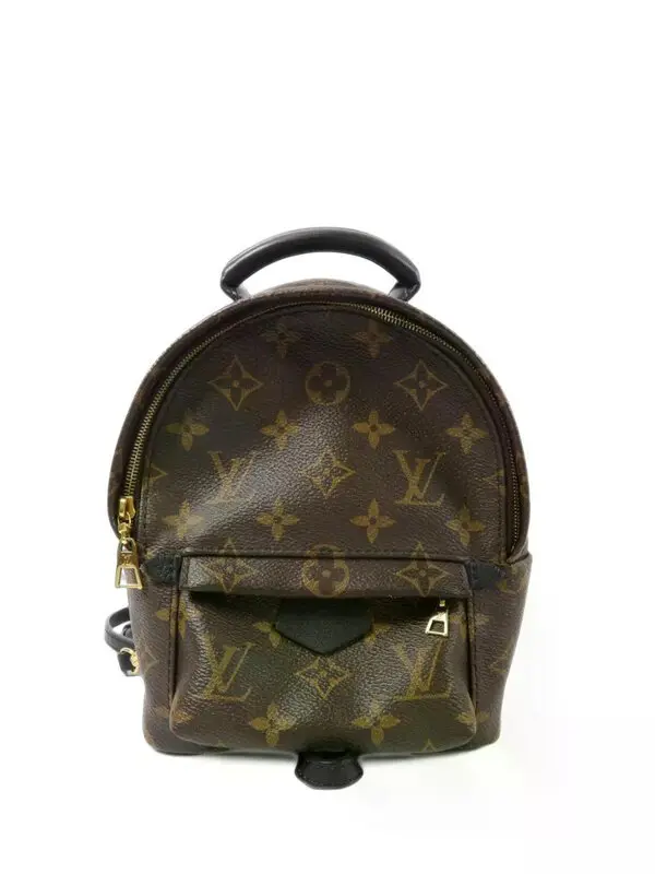 LOUIS VUITTON Palm Springs Monogram Backpack - Brown
