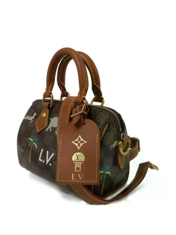 LOUIS VUITTON X The Darjeeling 18 Speedy Bandoulière Two-way Handbag