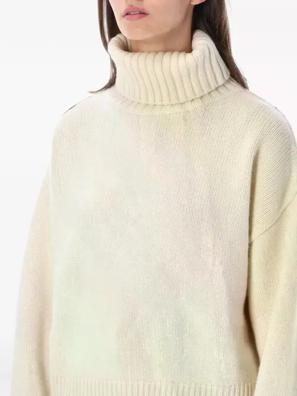 Extreme Cashmere Crop Xtra Roll-neck Sweater