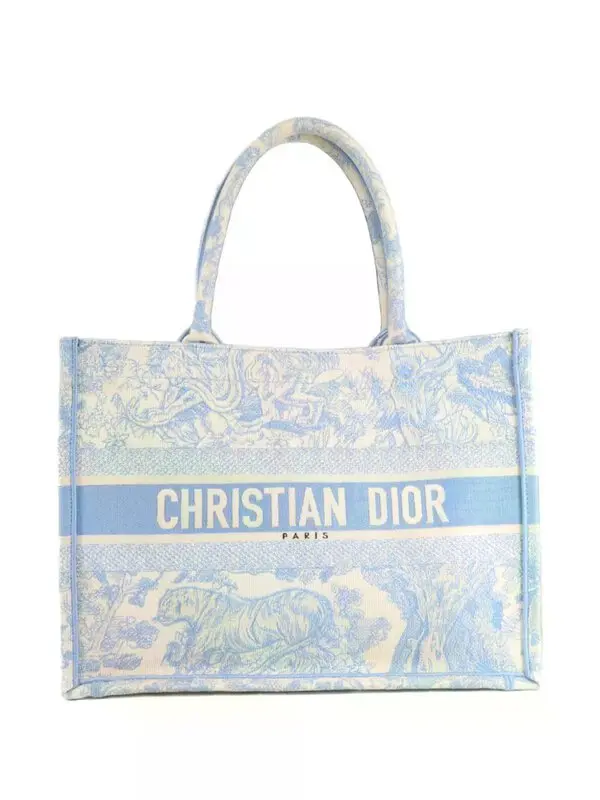 Dior Medium Book Tote Bag - Blue