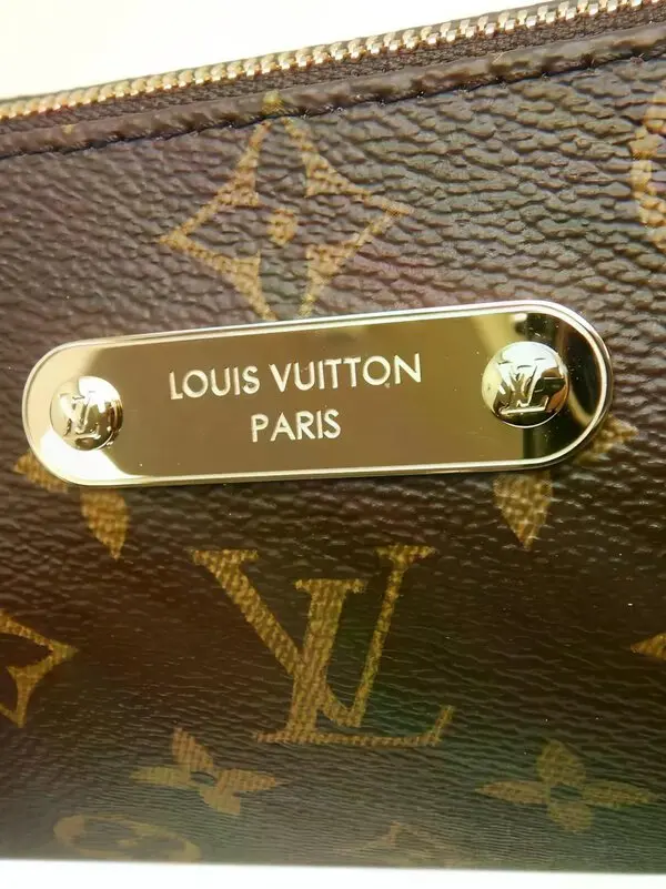 LOUIS VUITTON 2021-2026 Monogram Eva Satchel